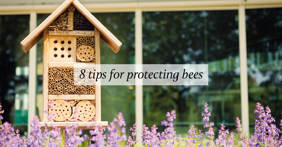 Breathe Breathe - 8 Tips for Protecting Bees - Wellbeing, Mindfulness