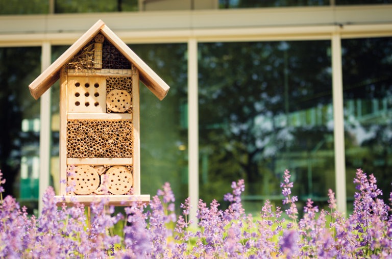 Breathe - 8 Tips for Protecting Bees - Wellbeing, Mindfulness