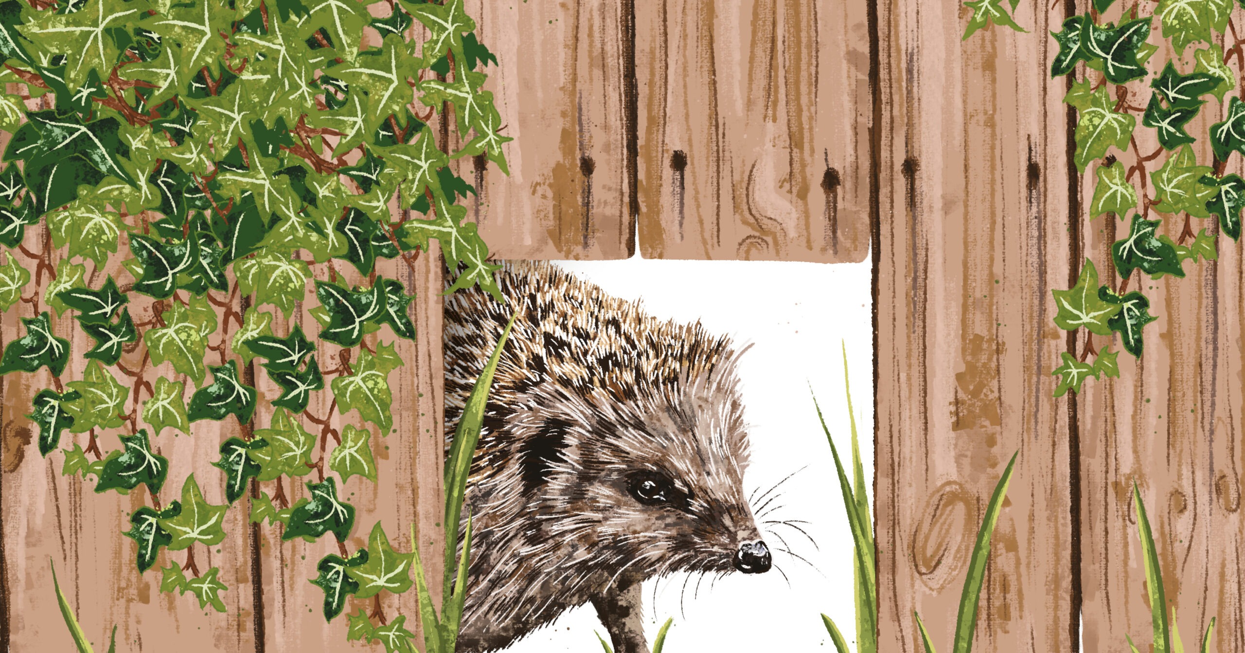 Garden gathering - Breathe